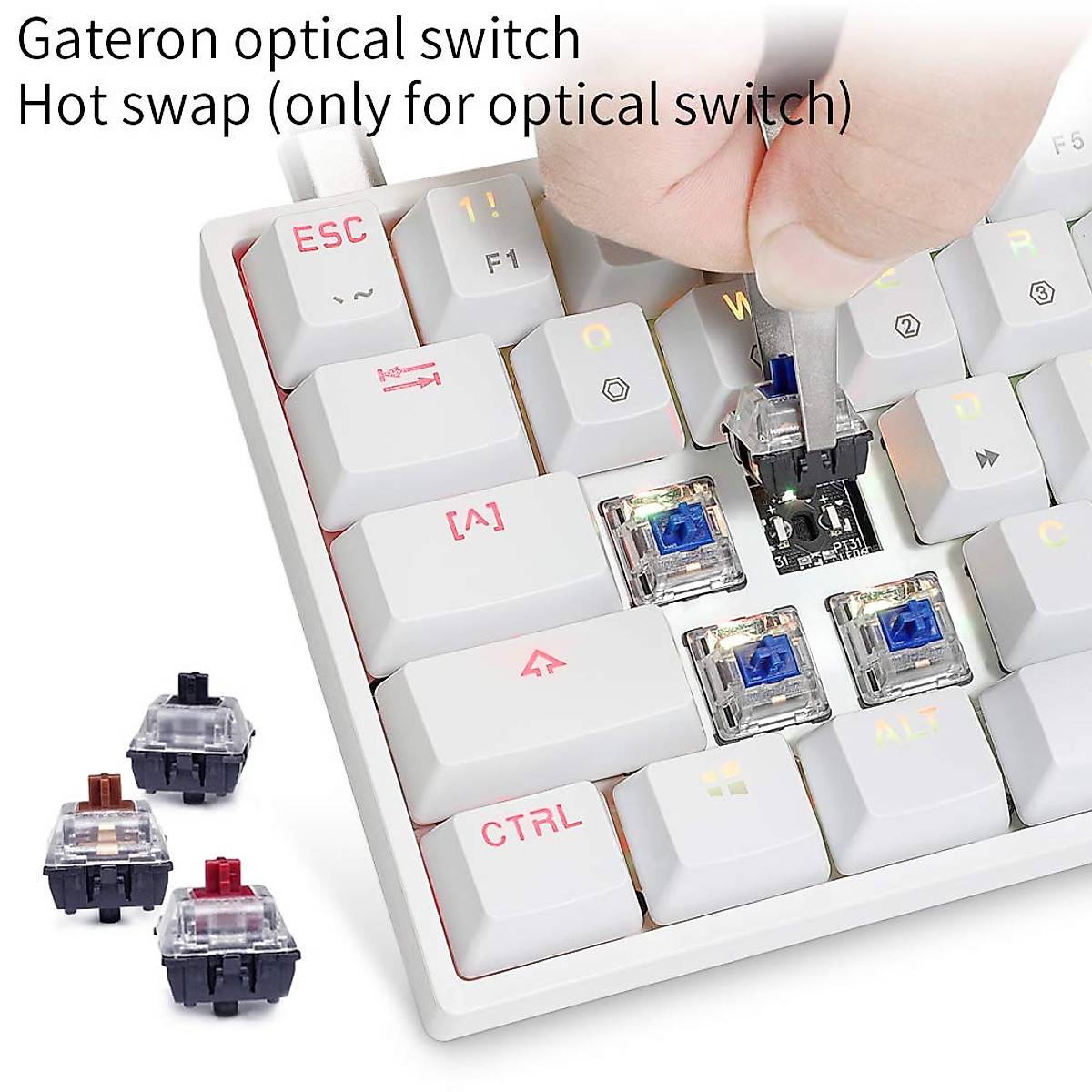 SK64 64 Tasti Hot Swap Tastiera Meccanica Cablata con RGB Retroilluminato ABS Tasti Freccia Tasti Impermeabile Programmabile per Win/Mac/Gaming (Gateron Ottico Marrone, Custodia Bianco)