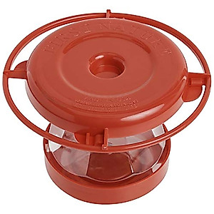 First Nature 993091-546 16 oz. Hummingbird Flower Feeder , Red