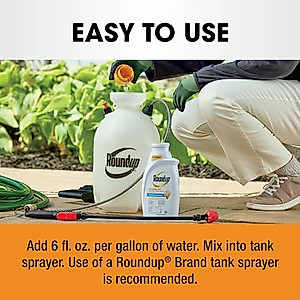 Roundup Poison Ivy Plus Tough Brush Killer₂ Concentrate, Visible Results in Hours, 32 fl. oz.