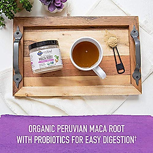 Garden of Life mykind Organics Fair Trade Organic Gelatinized Peruvian Maca Root Energy Boost 7.93 oz (225g) Powder with Probiotics, Certified Organic, Non-GMO, Vegan & Gluten Free Herbal Supplements
