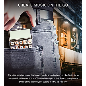 teen age engineering Pocket Operator PO-16 Factory Lead and Chord Synthesizer and Sequencer Bundle with Blucoil 3-Pack of 7" Audio AUX Cables, and 4 AAA Batteries