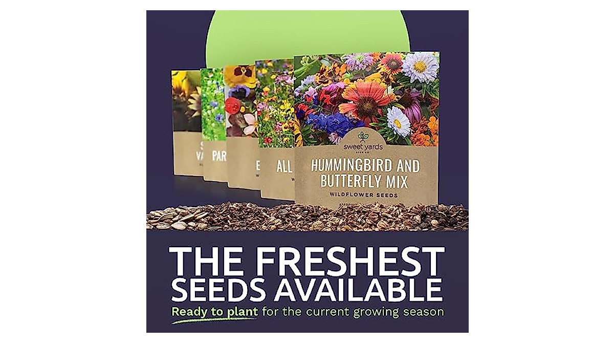 Bulk Wildflower Seeds Variety Pack - 30,000 Seeds