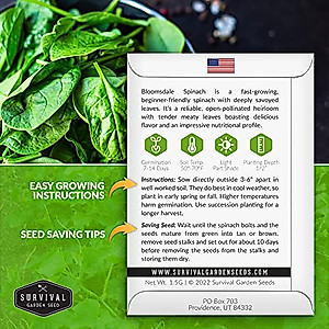 Survival Garden Seeds - Bloomsdale Spinach Seed for Planting - Packet with Instructions to Plant and Grow Delicious Spinach Greens in Your Home Vegetable Garden - Non-GMO Heirloom Variety