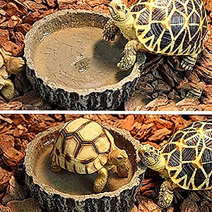 Ailindany Reptile Bowl Tortoise Water Dish Food Bowl Feeders Water Dish Resin Made for Amphibians Gecko Snakes Lizard Chameleon