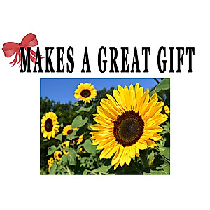 Flower Sun Flowers Kitchen Glass Cutting Board Decorative Gift For Mom Sunflower Design White