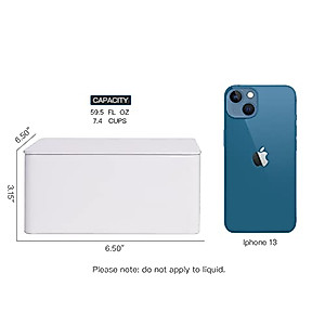 Tianhui Square Tin Canister/Container for Keeping Car,Tea,Coffee,Cookies, Food,Flour,Baked Goods Storage (Emerald Green)