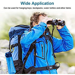 Zalava 6pcs 2”D-Clip Durable Locking Carabiner Keychain Clip,Keychain Clip Hook