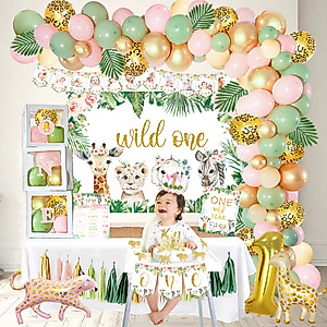 YSHMFEUX Wild one Birthday Party Decorations Supplies for Girl, 1st Birthday Girl Decorations, Jungle Safari Animal 1st Birthday Party Supplies, First Birthday Decorations for Girls