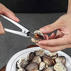 BESTonZON 1pc Peeler Opener Handle Scald Shell Crackers Tool Practical Nut Oyster Steel Clam Seafood Stainless Duty Sunflower Holder Shucker Anti- with Kitchen Silver Almonds Walnut