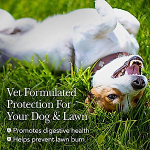 Nutri-Vet Grass Guard Chewables For Dogs - Prevent Lawn Burn From Dog Urine - 365 Count