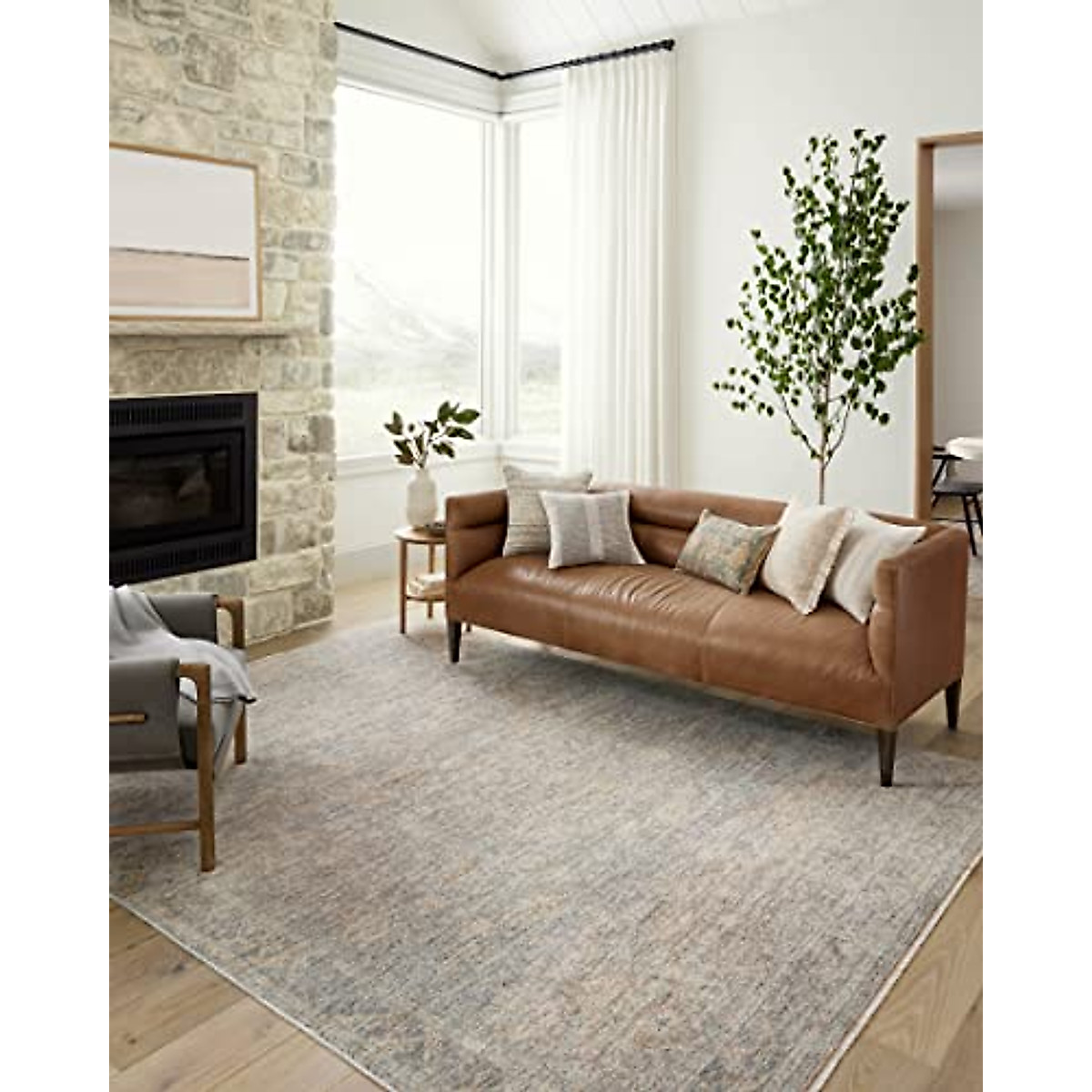Loloi Angela Rose x Blake Collection BLA-01 Sky/Beige, Transitional 5'-3" x 7'-6" Area Rug