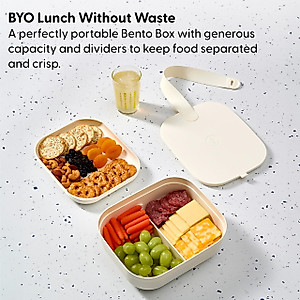 W&P Porter Lunch Box, 3 Compartment Bento Box Style Portable Adult Lunch Box with Snap Strap- Food Container, BPA Free, Dishwasher and Microwave Safe, Blush, Medium