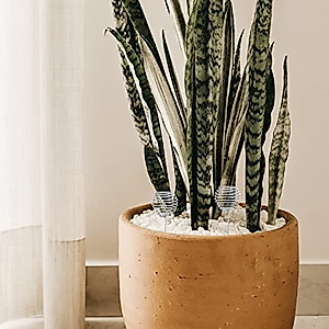 GANAZONO Orchid Fertilizer 10pcs Stainless Steel Succulents Mini Mini Planting Fertilizers Baskets