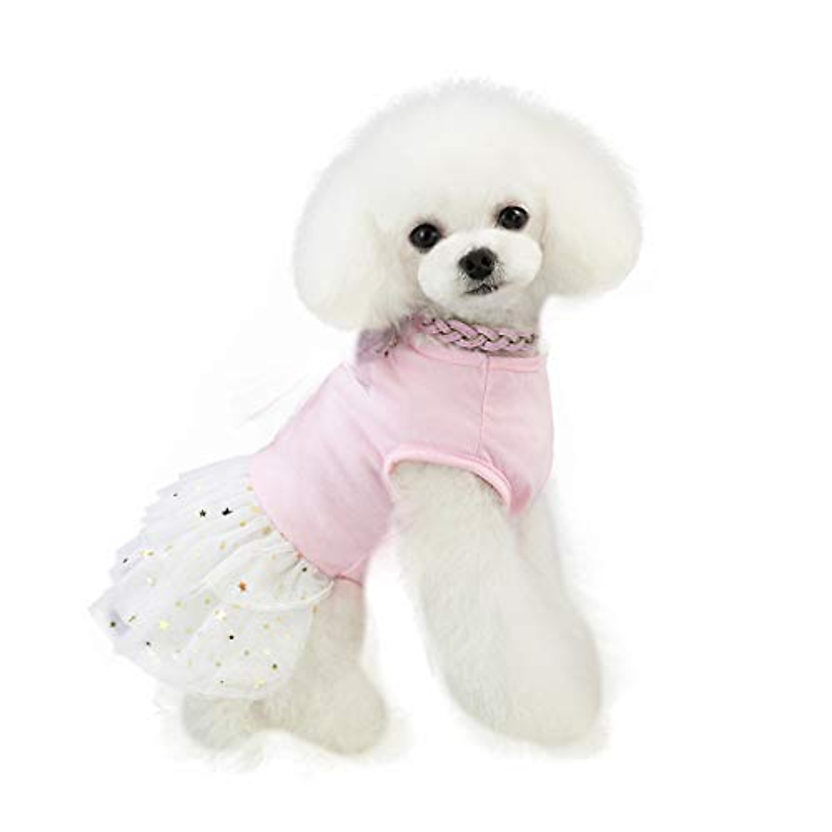 Puppy Costume Teacup Yorkie Girl Lace Dress Print Pet Breathable Cat Rabbit Pet Clothes Girl Dog Clothes Small