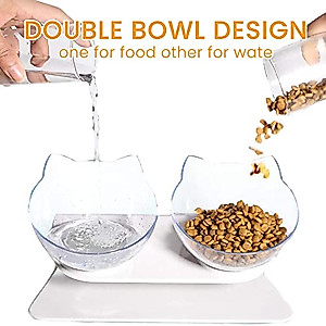 Laifug Elevated Double Cat Bowl,Pet Feeding Bowl | Raised The Bottom for Cats and Small Dogs