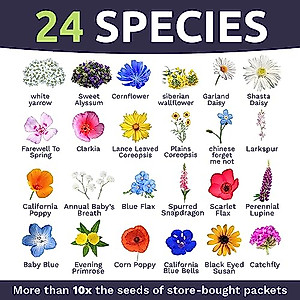 California Wildflower Mixture - Bulk 1 Ounce Packet - Over 7,000 Native Seeds - Open Pollinated and Non GMO