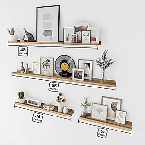 Picture Ledge Shelf - Solid Elm Wood Floating Shelves Set of 2 - Rustic Ledge Shelves for Toys Storage, Kids Bookshelf Wall Mounted for Bedroom, Living Room, Kitchen - 24 Inches - Natural Color