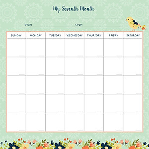 My Life as a Baby: A First-Year Calendar (Birds)