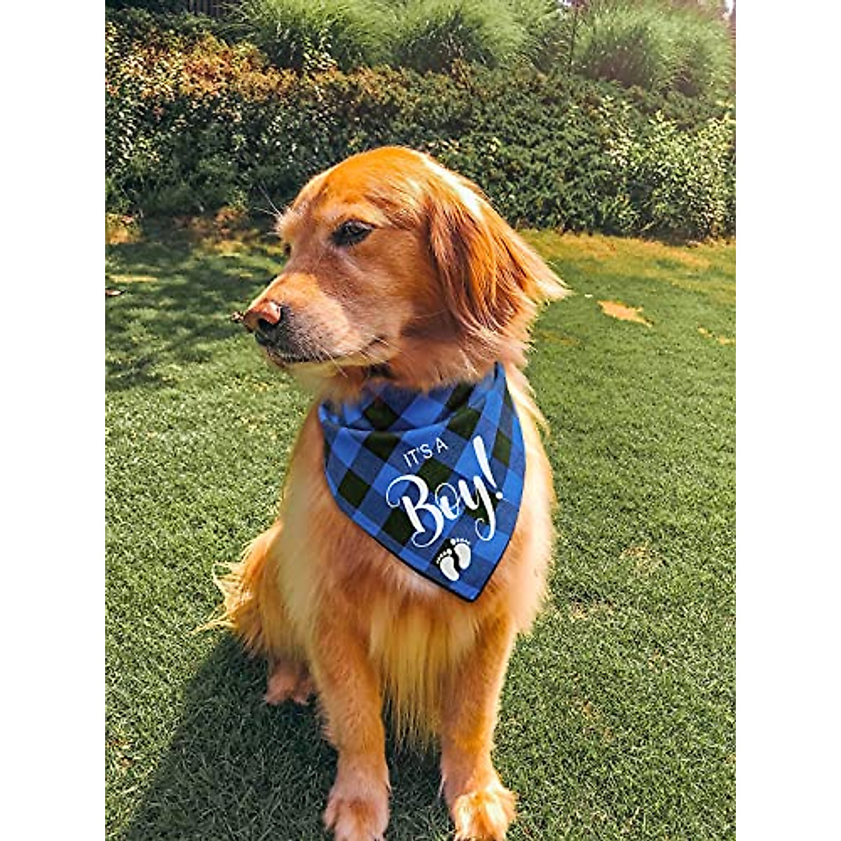 YHTWIN It's a Boy Blue Plaid Cotton Pet Dog Bandanas, Gender Reveal Photo Triangle Pet Scarf Scarves, Dog Birthday Party Decorations Props Accessories for Pet Dog Master Lovers Gift
