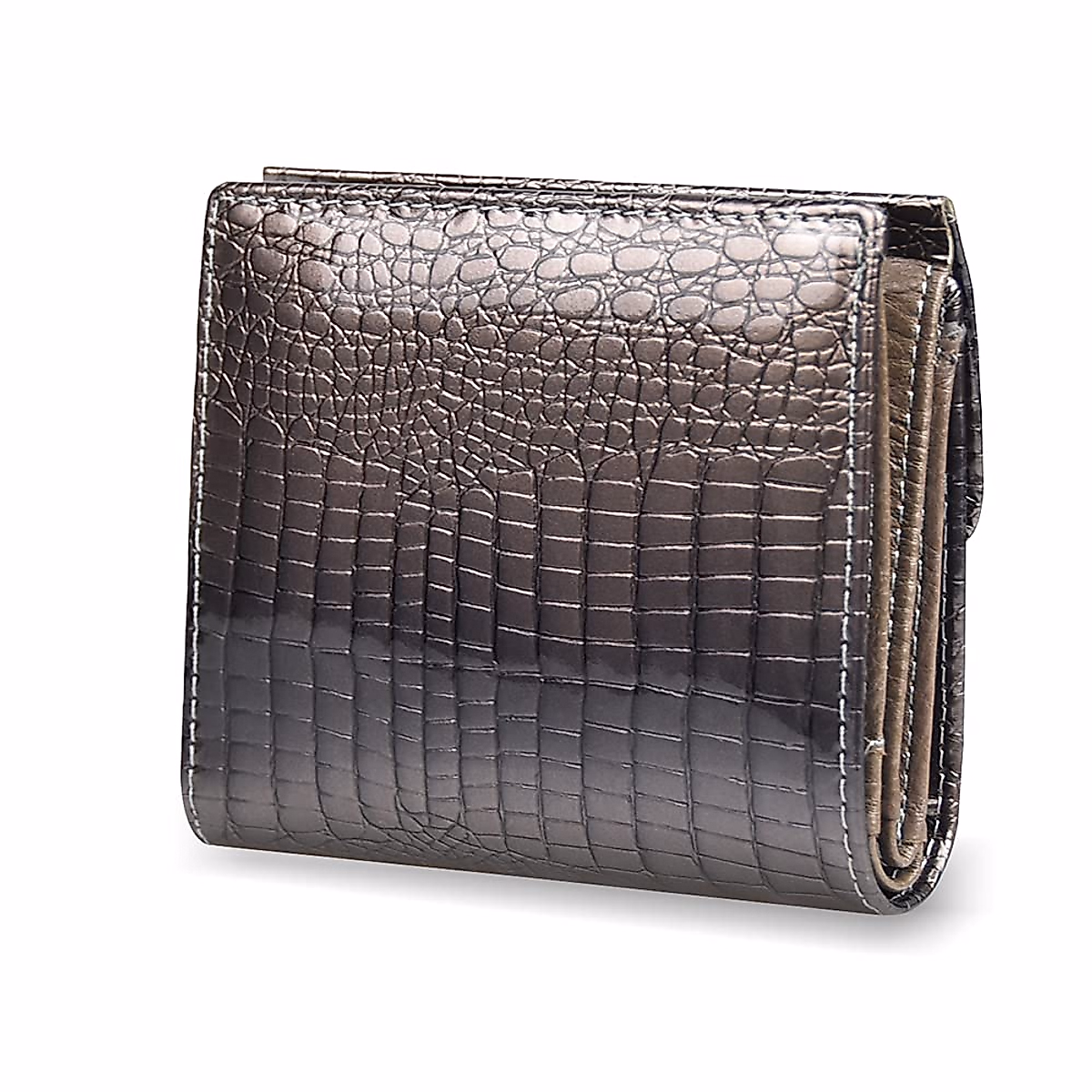 Dicihaya Women Small Compact Bifold Genuine Leather Wallet Ladies Mini Purse with ID Window Coin Pocket (Silver)