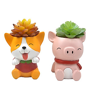MONMOB Succulent Pot Planters Outdoor Decor Outdoor Planter Plants Patio Balcony Yard Lawn Ornament Home Office Room Decor Gardening Gifts (Pigdog)