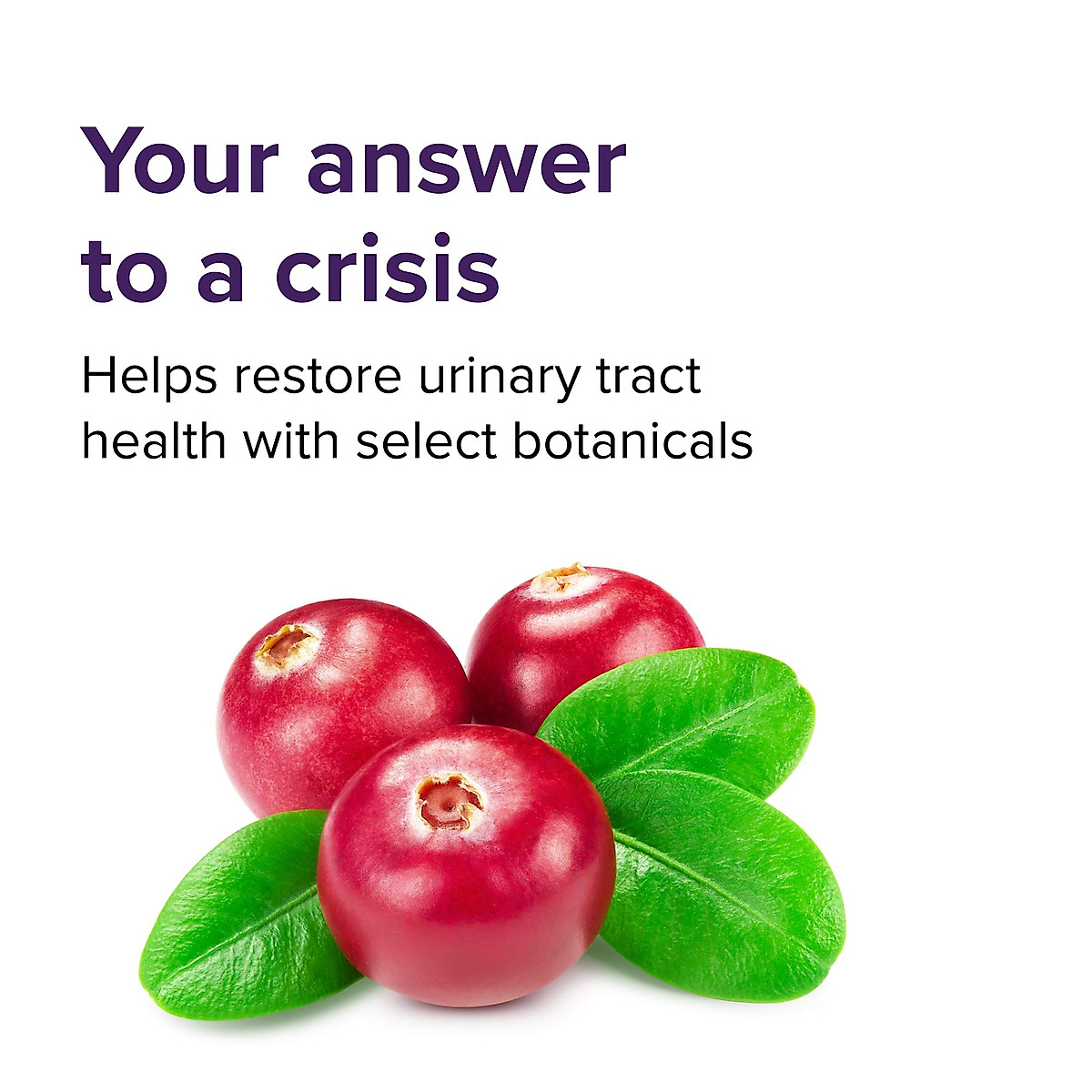 Vibrant Health, U.T. Vibrance, Crisis Intervention for Urinary Tract Health, 50 Capsules