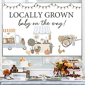kreat4joy Locally Grown Baby Shower Backdrop, Vegetable and Fruit Baby Shower Decorations, Farmer's Market Baby Shower Decorations Backdrop for Kids Boy Girl Baby Shower Photography Background