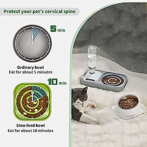 BNOSDM Triple Pet Bowl Cat Slow Feeder with Gravity Water Bottle Set, Detachable Stainless Steel Tilted Raised No Spill Dog Bowls for Cat Kitten Puppy