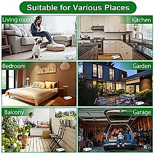 Protecker Mouse Trap,Pest Control Traps,Professional Strength Mouse Glue Traps ,Mice Rat Moths Bugs Insects Bed Bugs Spiders Cockroaches Snake Glue Traps for House Indoor Outdoor ,Non-Toxic&Pet Safe