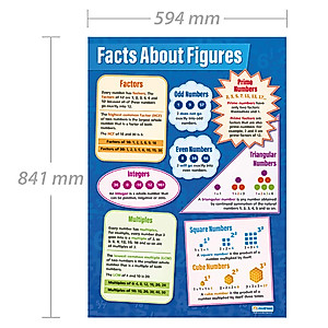 Facts About Figures Math Poster – Gloss Paper – 33” x 23.5” – Educational School and Classroom Posters
