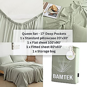 Bamtek 100% Viscose Bamboo Sheets Queen Size Bed - Super Soft and Silky Queen Sheets - Cooling Bamboo Sheets for Hot Sleepers - 4PC 17' Deep Pocket Queen Sheet Set and Pillowcases Set of 2 (Sage)