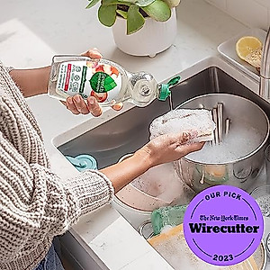 Seventh Generation Dish Soap Liquid Summer Orchard Scent Pack of 6 Dishwashing Soap Dish Detergent Liquid Soap 19 oz