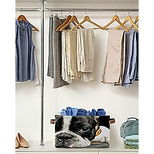 Storage Organizer Bins Set of 1 Storage Baskets for Clothes on Shelves With Handles Lovely French Bulldog Animal Photography Black Rectangular Fabric Laundry Baskets for Organizing