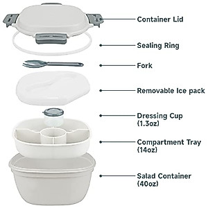 Bokzen Freezer Bento Box, Salad Lunch Containers with Built-In Ice Pack & Fork for Food Freshness, 1.2L 4-Compartment Leakproof Chill Bento Lunch Box for Adults