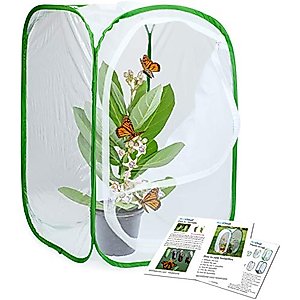 RESTCLOUD Insect and Butterfly Habitat Cage Terrarium Pop-up 23.6 Inches Tall