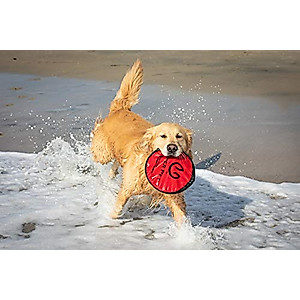 Hyper Pet Flippy Flopper Dog Frisbee Interactive Dog Toys [Flying Disc Dog Fetch Toy – Floats in Water & Safe on Teeth] (Colors Will Vary), Multicolor, 9"