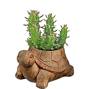 Classic Home and Garden 9/3452R/1 Turtle Planter, Large, Rust