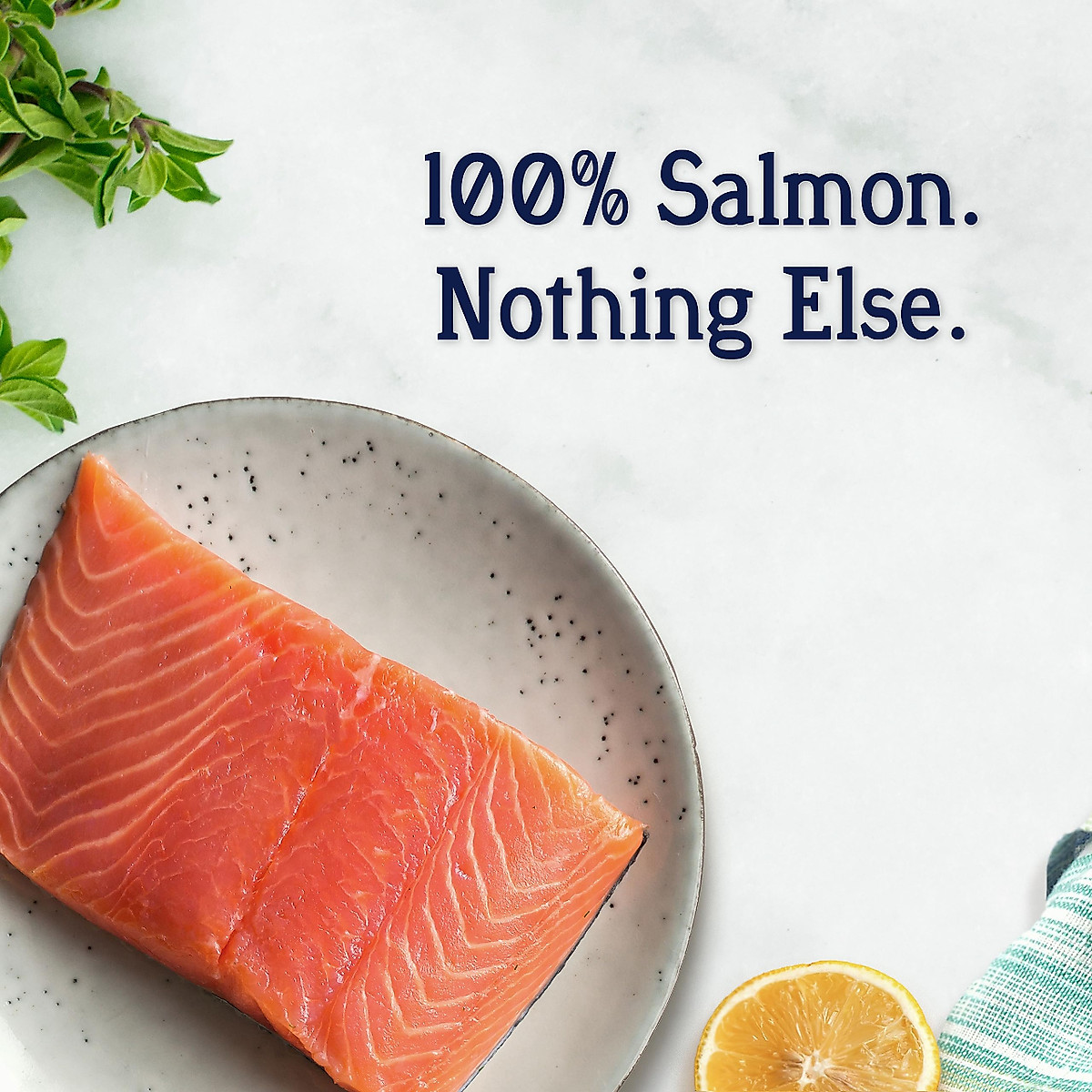 Stewart Freeze Dried Dog Treats, Wild Salmon, 2.75 oz Grain Free & Gluten Free, Resealable Pouch, Single Ingredient, Training Treat in Beef Liver, Salmon, Chicken Liver & Chicken Breast 4, 14, 21 oz