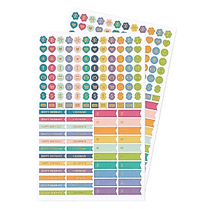 Erin Condren Monthly Customizable Undated 12 Month Agenda Petite Planner - Perfect for Tracking Monthly To-Dos or Monthly Project Goals. 140 Stickers Included