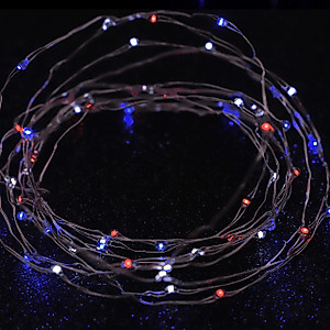 MIYA LIFE Independence String Lights 10FT & 40LEDs & Patriotic Decorations | Battery Powered & Timer Remote (Rice Lights)
