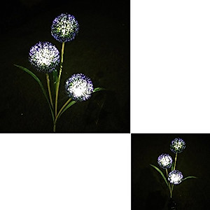 Solar Powered Dandelion Solar LED Lights Outdoor Waterproof LED Lamps for Garden Backyard Lawn Landscape Decoration Illumination (Purple)