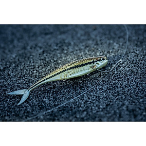 Berkley PowerBait The Champ Minnow Fishing Soft Bait, HD Rainbow Shiner, 3.4in