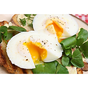 HIC Harold Import Co. 43133 HIC Non-Stick 3-Egg Poacher Insert, PFOA and BPA Free Black, 15"