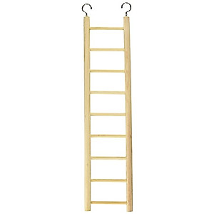 Living World Wooden Ladder, 9 Step