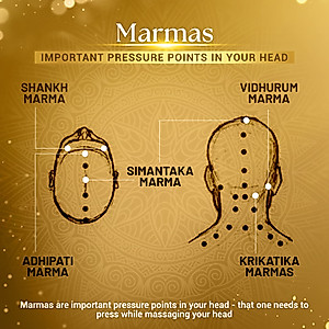 SESA Ayurvedic Regain 2 Step Hair Oil Growth Kit With 26 Herbs And 6 Essential Oils Promotes Hair Growth Reduces Hair Fall With Massager Natural Hair Oil For Women And Men, 100 Ml or 3.38 oz