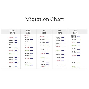 Pre-Casted Protein Gel (HG-Page™) (4-20%, 12 Well)