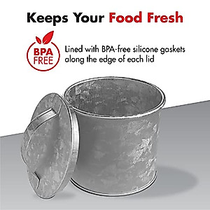 Amici Home Newport Galvanized Metal Canister | Dry Food Storage Container | Airtight Lid | 30 Ounce Capacity | Farmhouse Décor | Rustic Metal Canister for Kitchen Countertop (Silver)