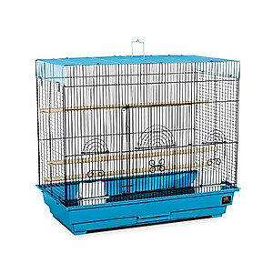 Prevue Hendryx Flight Cage, Blue and Black