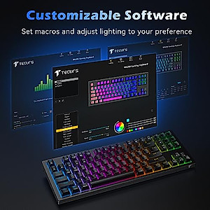 TECURS Wireless Gaming Keyboard, 80% TKL Mechanical Keyboard RGB Programmable Wired/2.4Ghz/Bluetooth Backlit Keyboard 87 Keys Compact Gamer Keyboard with Red Switch for Windows Mac PC Laptop