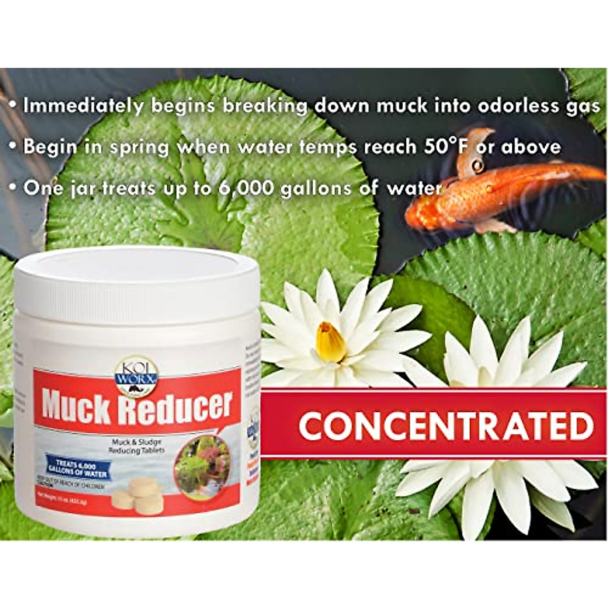 KoiWorx Muck Reducer, 145 Tablets Treats up to 6,000 Gallons of Water, Beneficial Bacteria Reduces Muck, Sludge and Organic Build up, Formulated for Ponds, Water Features and Safe for Koi